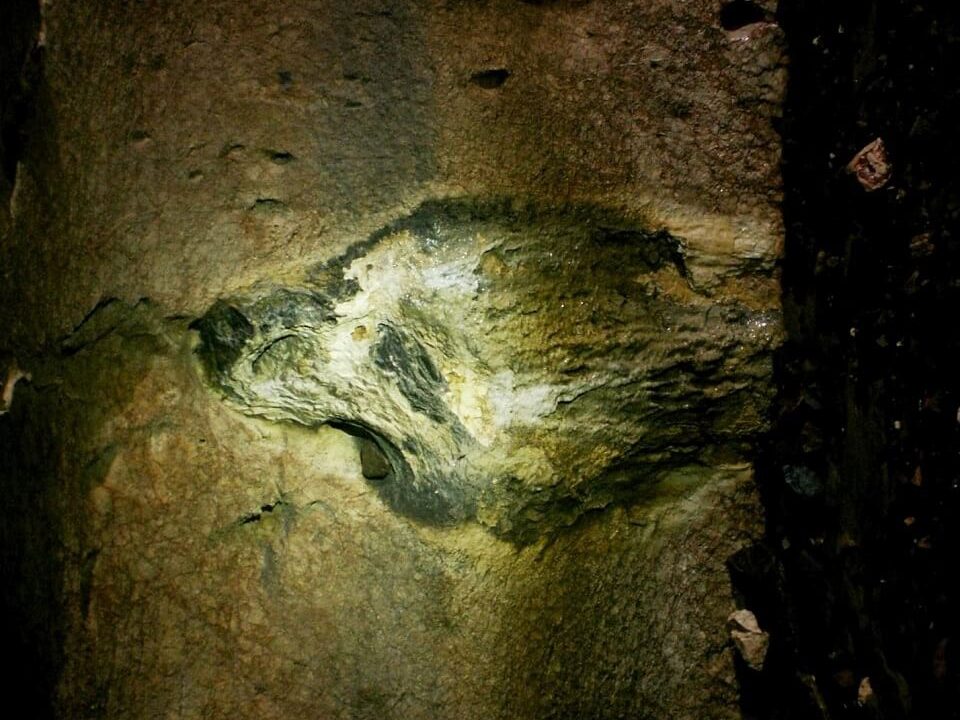 Legenda fetelor de măritat & Inima întoarsă din Peștera BOLII