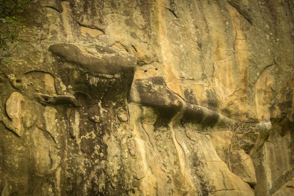 Uriașul pietrificat | Povestea Locurilor